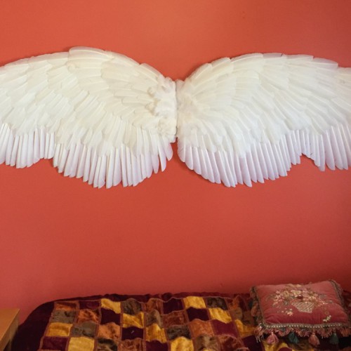 Outstretched Display Angel Wings to hang on a Wall - Angel Wing Makers